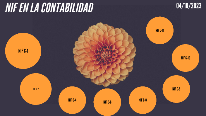 NIF utilizadas en contabilidad by Astrid Hernandez on Prezi