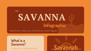 savannah infographic by Wyatt Brimer (Student EHS) on Prezi Design