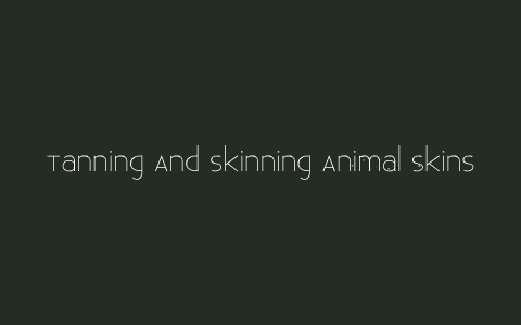The Process and History Of Skinning and Tanning Animal Skins by Tyler ...