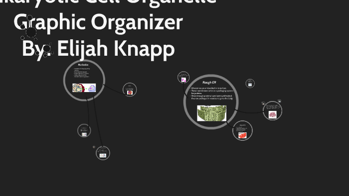 Eukaryotic Cell Organelle Graphic Organizer by elijah knapp on Prezi