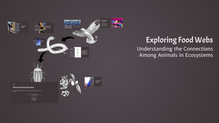 Exploring Food Webs by Rebecca Farquhar on Prezi