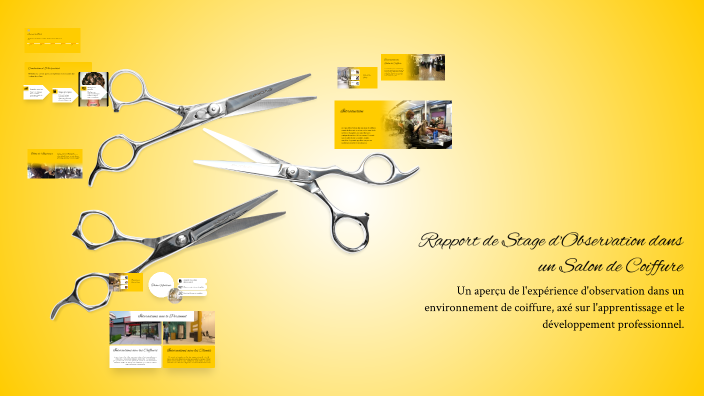 Rapport de Stage d'Observation dans un Salon de Coiffure by jalil ...