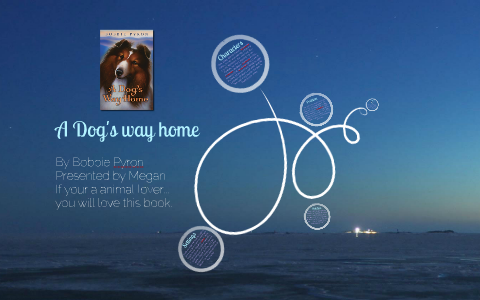 A Dog's Way Home Book Talk by Tammy Simpson on Prezi
