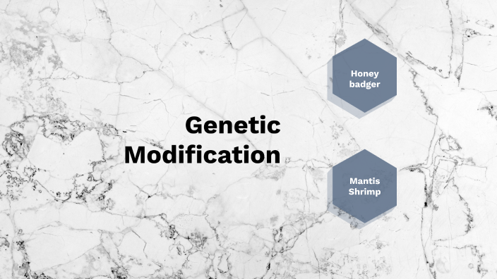 Genetic Modification by morgan kanu on Prezi