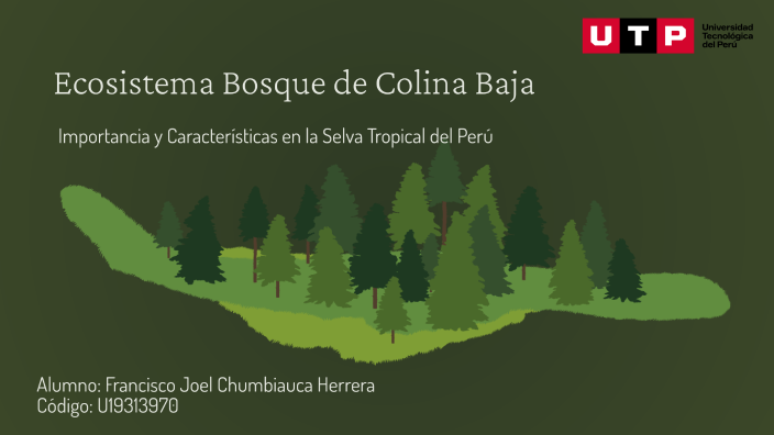 Ecosistema Bosque de Colina Baja by Rafael Peñaloza on Prezi