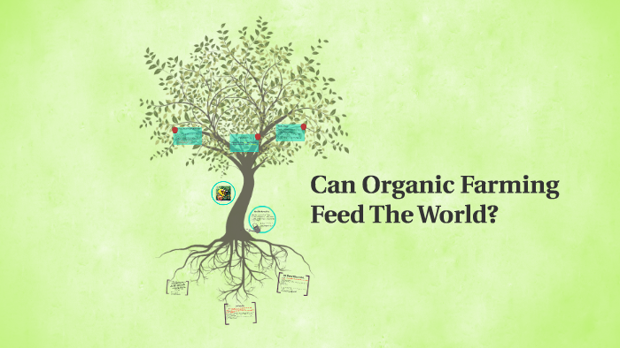 Can Organic Farming Feed The World? by Irie Yee on Prezi