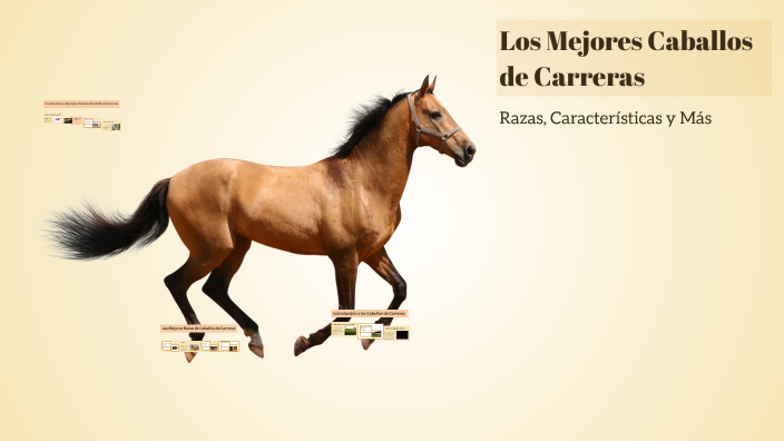 Los Mejores Caballos de Carreras by KARLA FERNANDA CALVILLO SANDOVAL on ...