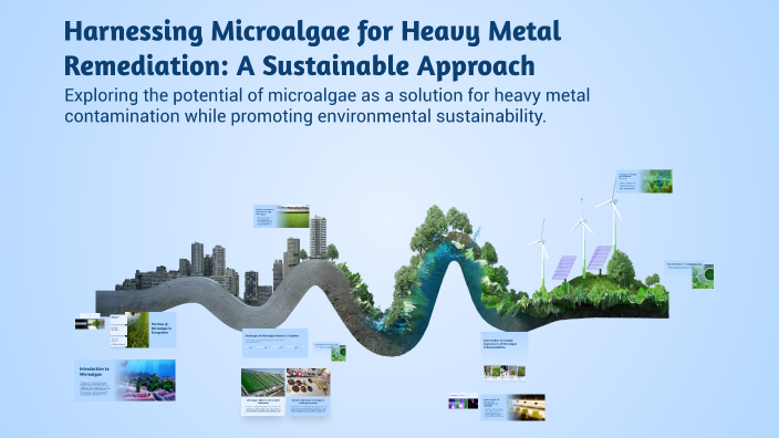 Harnessing Microalgae for Heavy Metal Remediation: A Sustainable ...