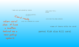coral reefs by bertus meyer on Prezi