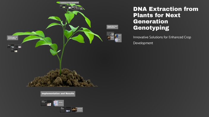 DNA Extraction from Plants for Next Generation Genotyping by Gerbert ...