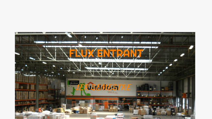 FLUX ENTRANT by hugues clement on Prezi