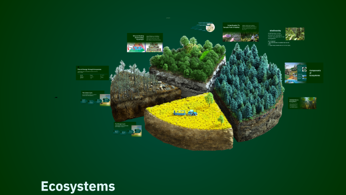 Understanding Ecosystems by sayui kjkj on Prezi
