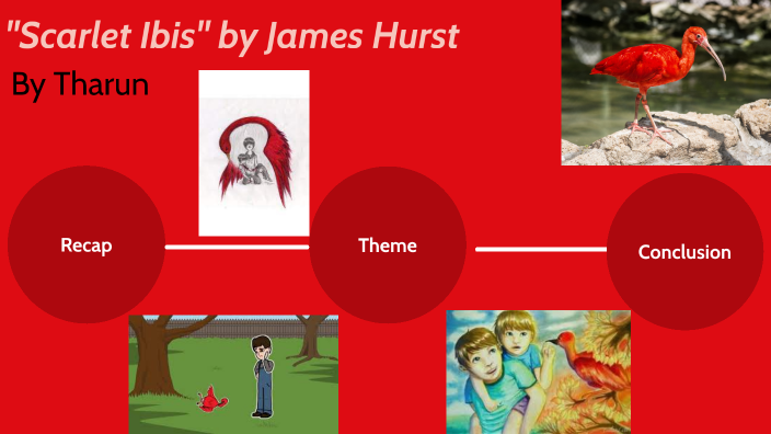 Scarlet Ibis Theme analysis by tharun vinod kumar on Prezi