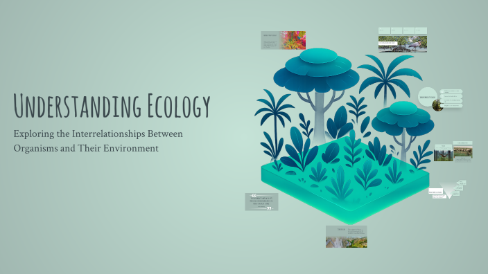 Understanding Ecology by Sina Muhammad on Prezi
