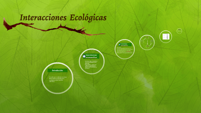 Interacciones Ecológicas by Chiquitin Cacu on Prezi