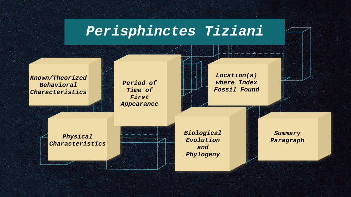 Perisphinctes Tiziani by Ry Stinedurf on Prezi
