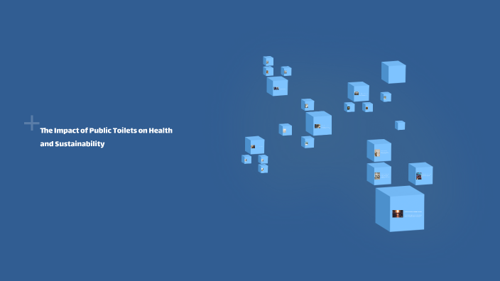 The Vital Connection: Public Toilets and Health by mulaudzi nnditsheni ...