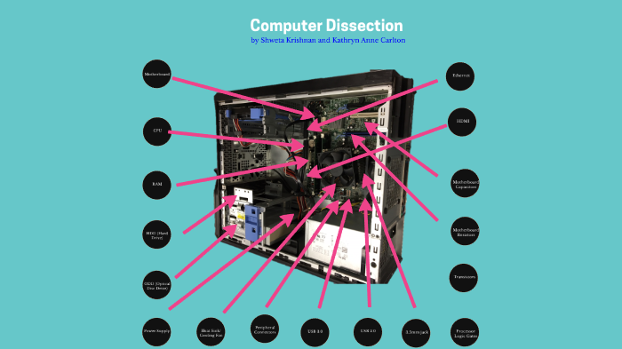 Computer Dissection by Kathryn Anne Carlton on Prezi