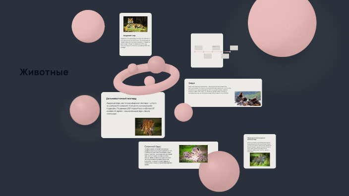 Animals by Эллина Гурьевсикх on Prezi
