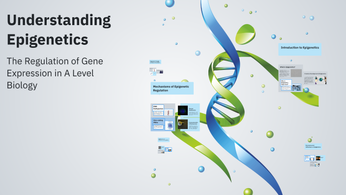 Understanding Epigenetics by Joe Wolfensohn on Prezi