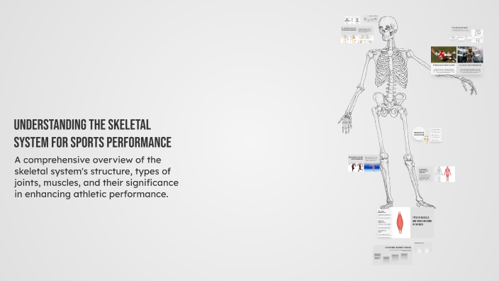 Understanding the Skeletal System for Sports Performance by Matt Wells ...
