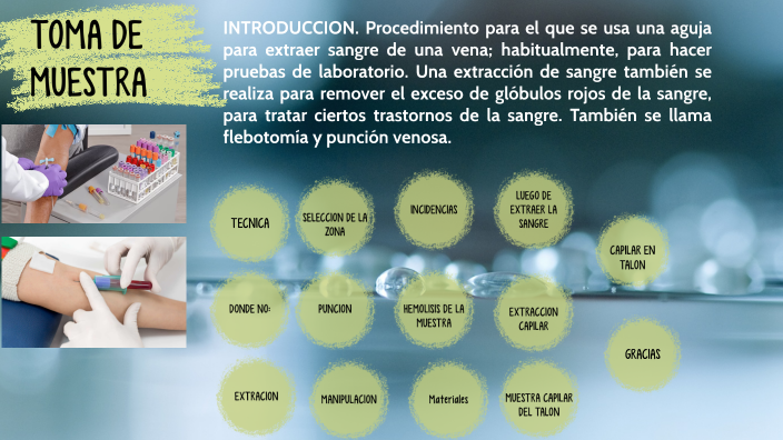 TOMA DE MUESTRA EN EL LABORATORIO CLINICO by Mary Miranda on Prezi