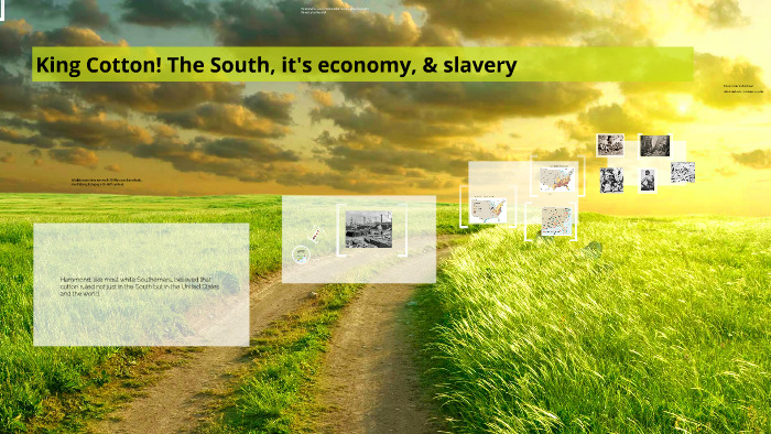 King Cotton! The South by Ryan Snider on Prezi