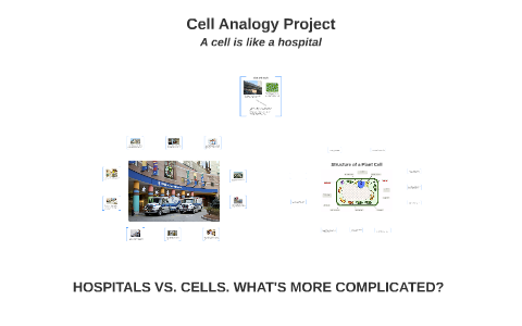 Cell Analogy Project by Anna D.