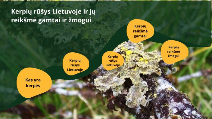 Kerpes by Austeja Katinaite on Prezi