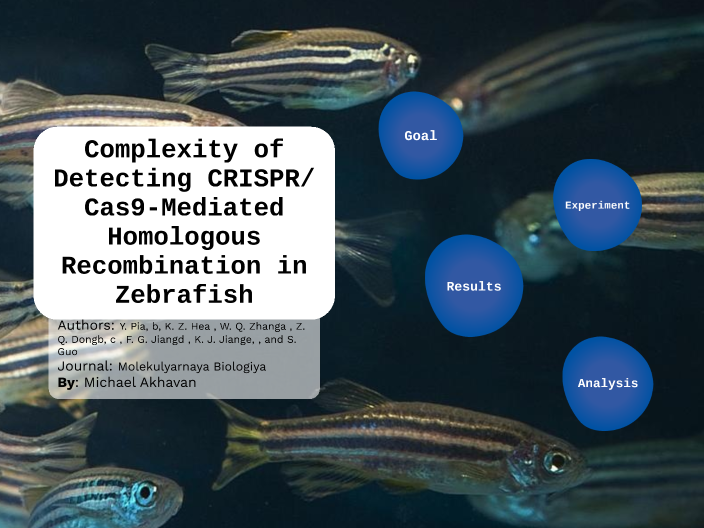Zebrafish presentation by Michael Akhavan on Prezi
