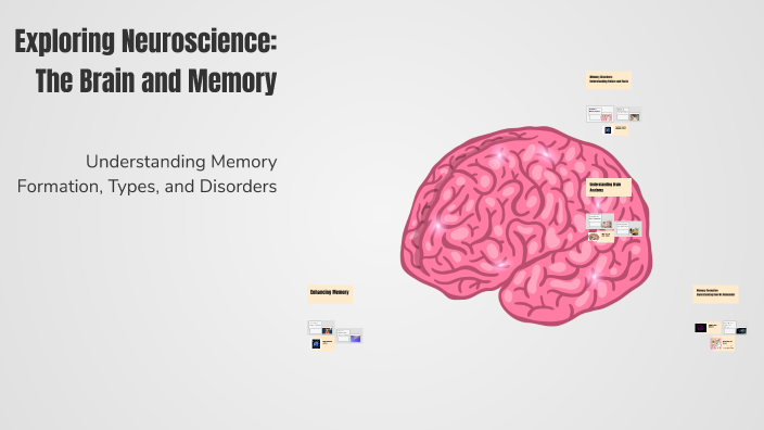 Exploring Neuroscience: The Brain and Memory by Rolando Galindo on Prezi