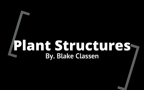 Plant Structures B.C. by Danielle Feola on Prezi