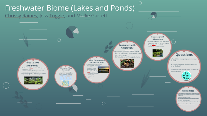 Lakes and Ponds Biome by Jessica Tuggle on Prezi