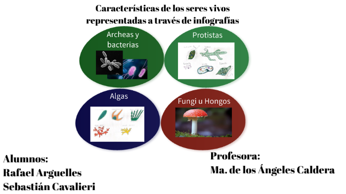 Infografías seres vivos by Sebastian Cavalieri on Prezi
