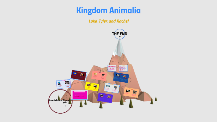 Kingdom Animalia by Rachel Kickuth on Prezi