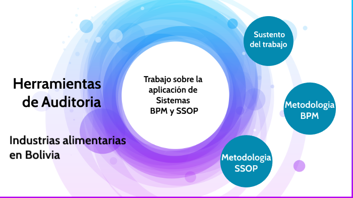 Herramientas de auditoria by clara donnelly on Prezi