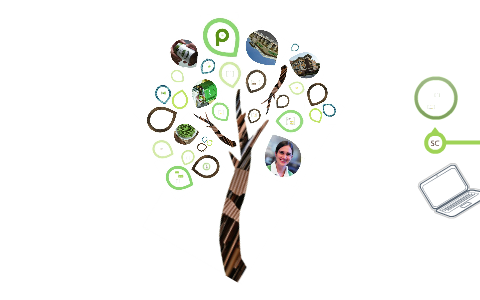 PUBLIX FINAL PRESENTATION by leigh deininger on Prezi