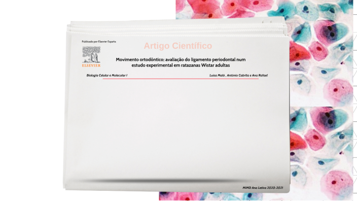 Artigo Científico by Isabel Ataíde on Prezi