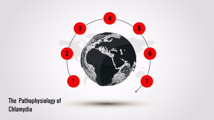The Pathophysiology of Chlamydia by Victoria Ettswold on Prezi