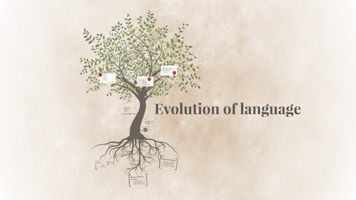 Evolution of language by Rebecca Immonen on Prezi