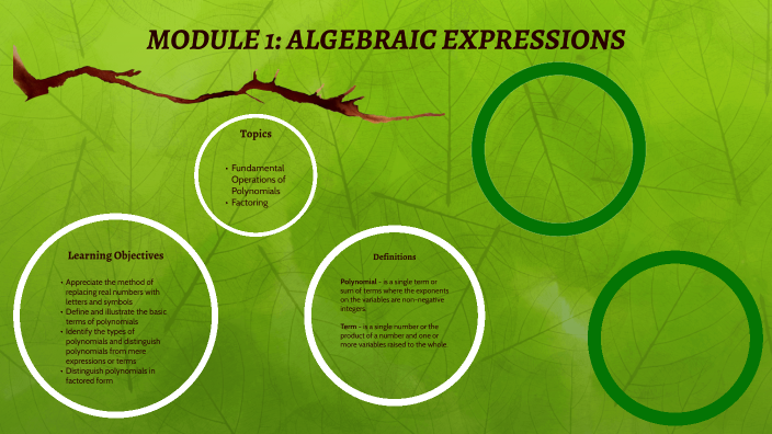 Module 1: Algebraic Expressions by Renalyn Gacusan on Prezi