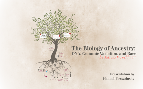 The Biology of Ancestry by Hannah P on Prezi
