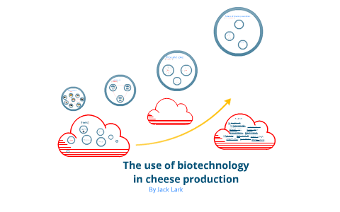 Biotechnology in cheese production by Jack Lark on Prezi