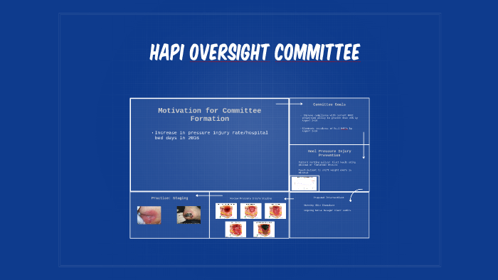 HAPI OVersight COmmittee by Rachel Michels on Prezi