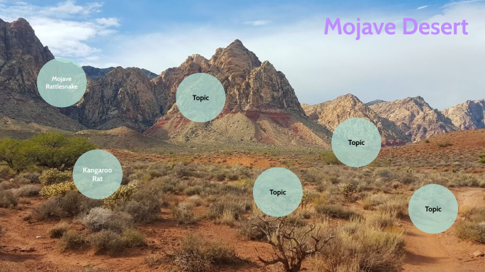 Mojave Desert by Mackenzie Harman on Prezi