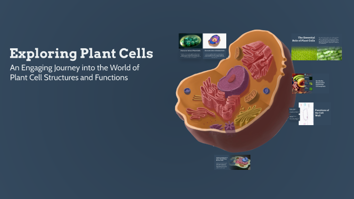 Exploring Plant Cells by Jana Mohamed on Prezi
