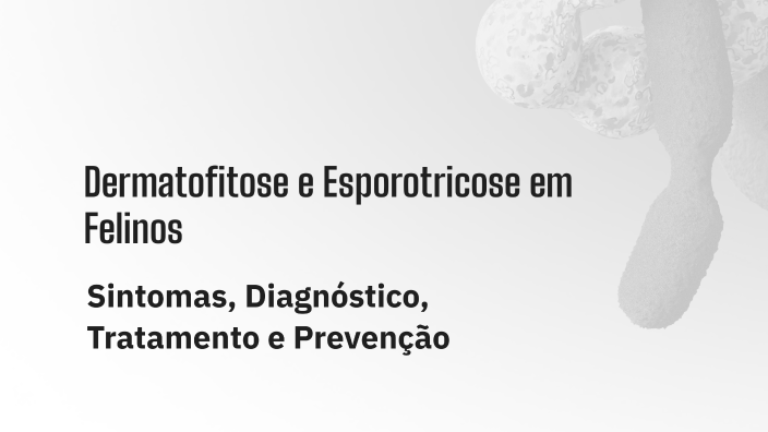 Dermatofitose e Esporotricose em Felinos by jean mocfa mocfa on Prezi