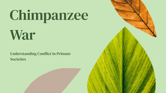 Chimpanzee War by Owen L Cox on Prezi