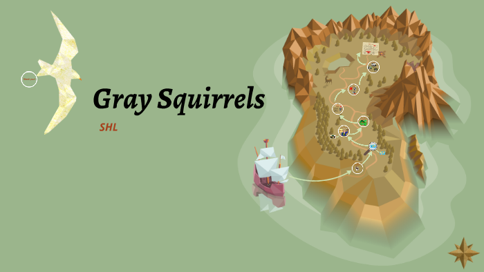 Gray Squirrels by Song Hye Lin on Prezi