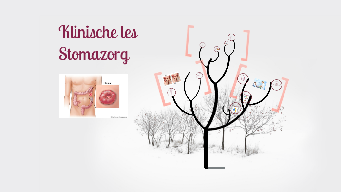 klinische les stoma zorg by Lisanne Croezen on Prezi